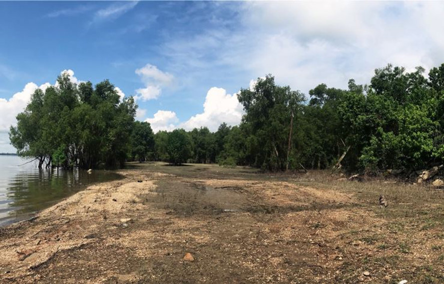 Riverfront Acquisition Another Milestone for West Feliciana