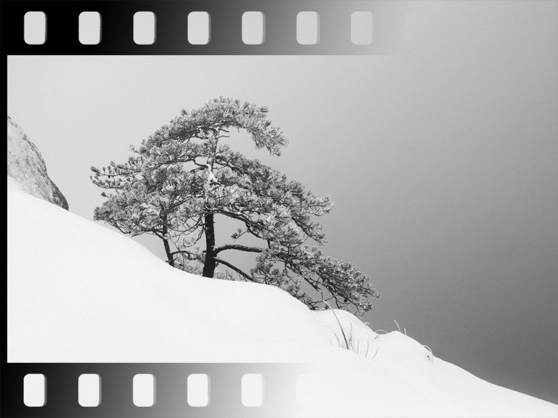 Optimizing Image Ratios for Creative Landscape Photography