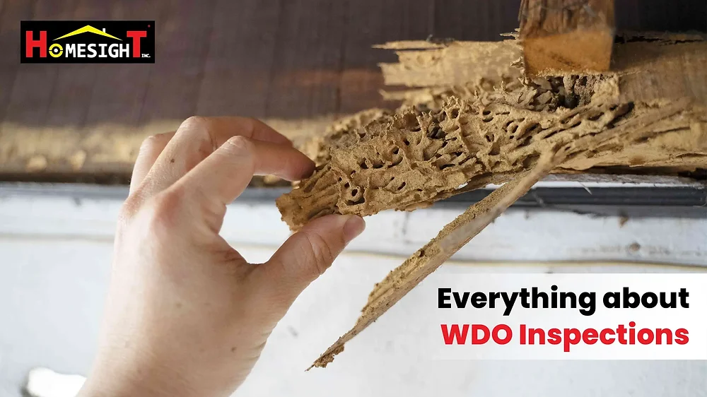 Comprehensive WDO inspection | Homesight, Inc.