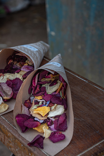 Rose Petal Cone | White Row Farm