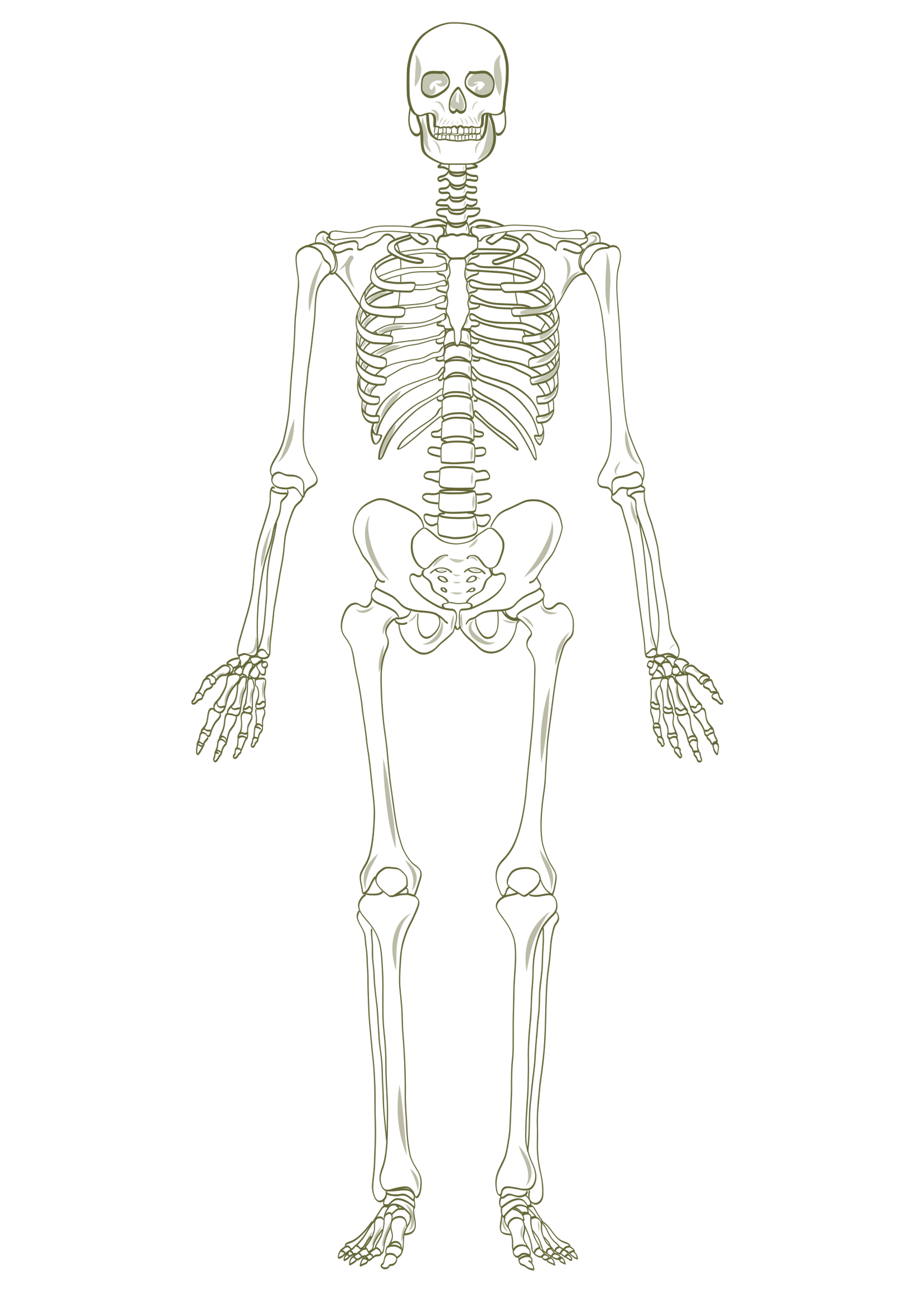 Course Information | Trainor Movement Co.