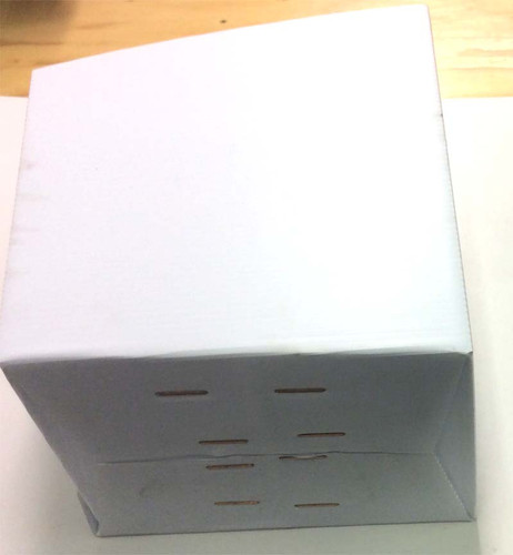 HARVESTING BOX (CHLOROPLAST) | GBM CUSTOM MACHINE