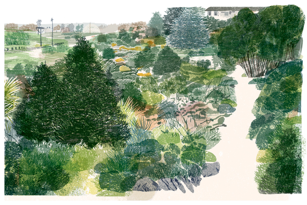 Claire Harrup | Illustrator & Printmaker