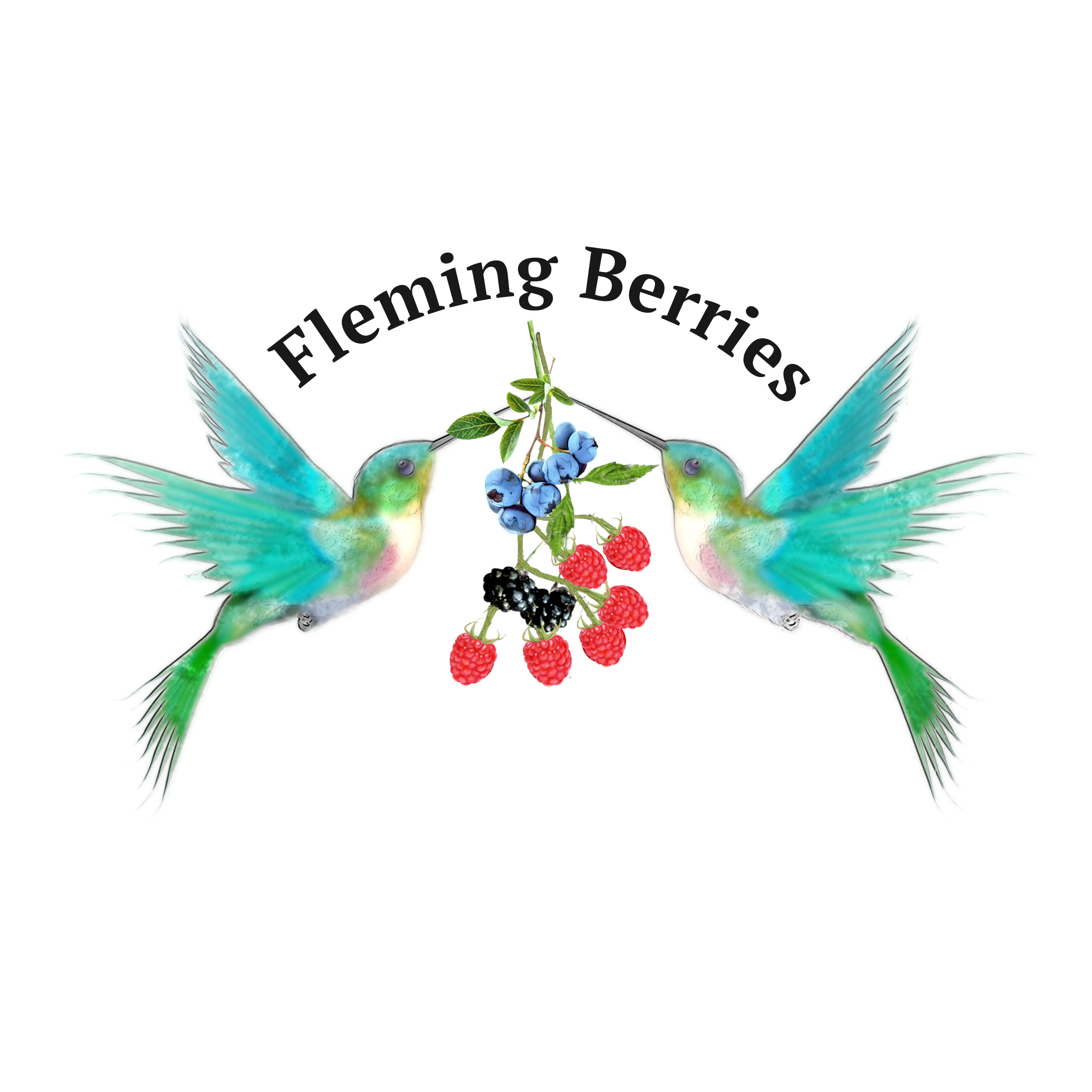 Join “Fleming Berries” on Spaces by Wix