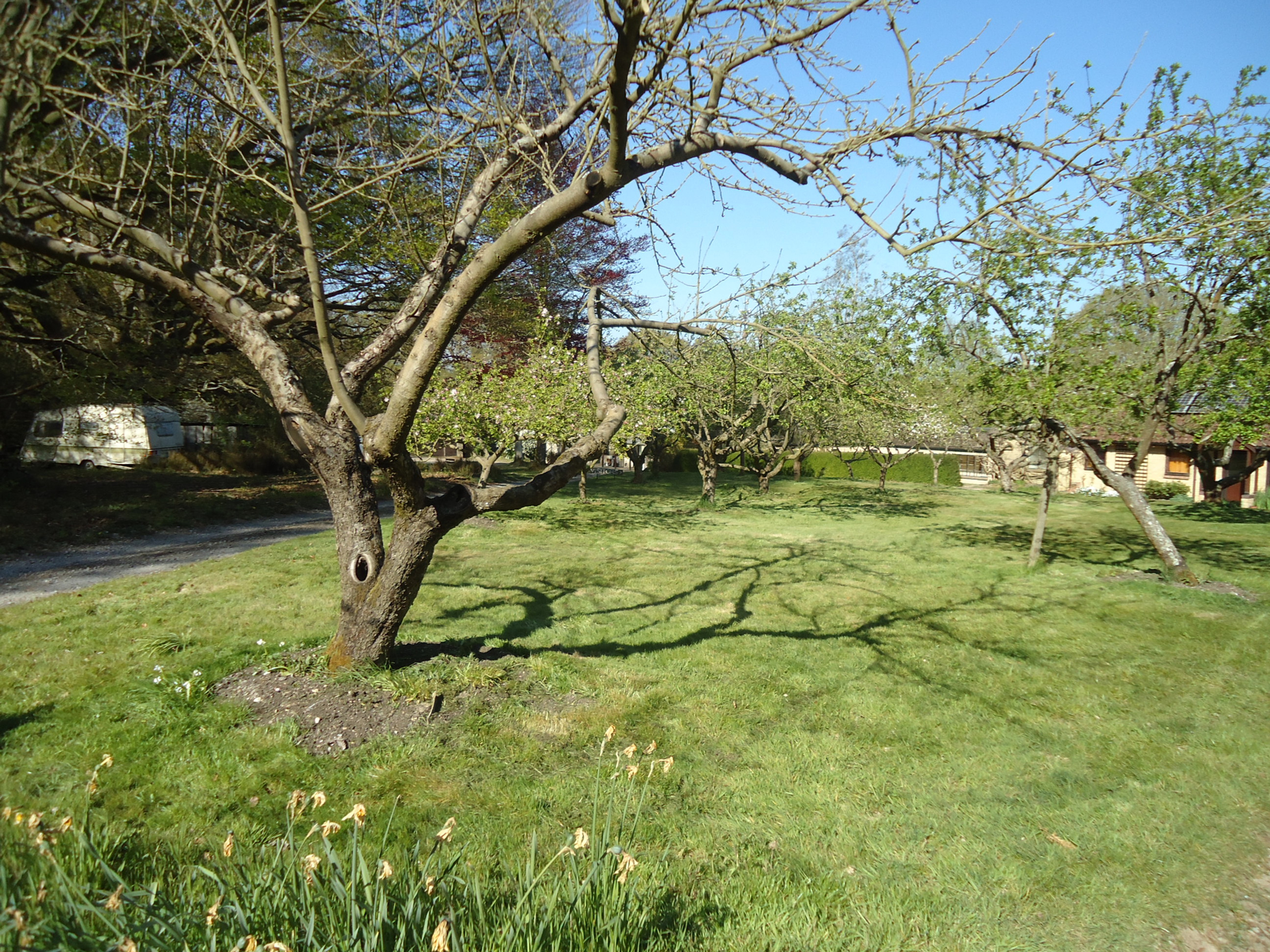 Monastery of the Holy Trinity