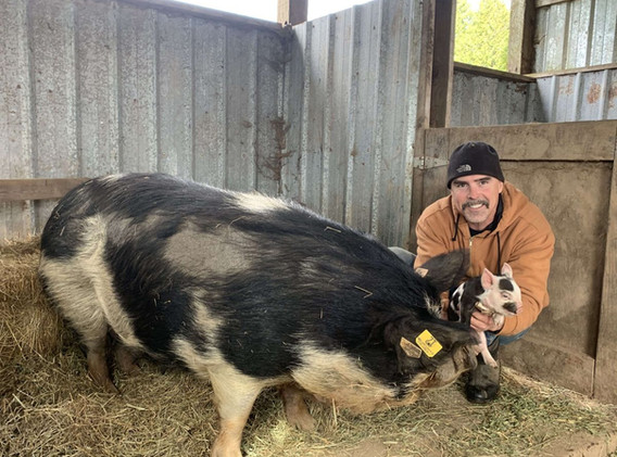 ALL ABOUT THE IPP | IPPBA