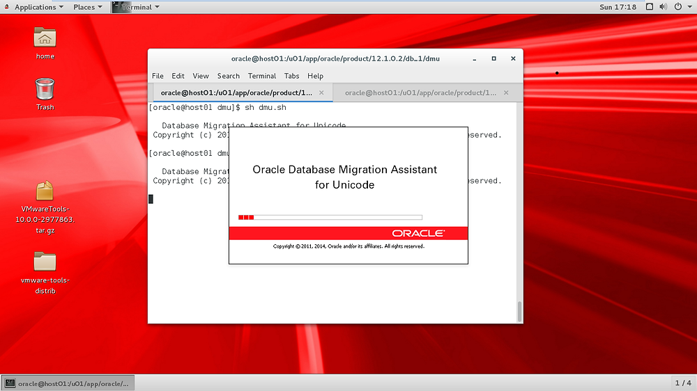 Database Migration Assistant For Unicode Dmu
