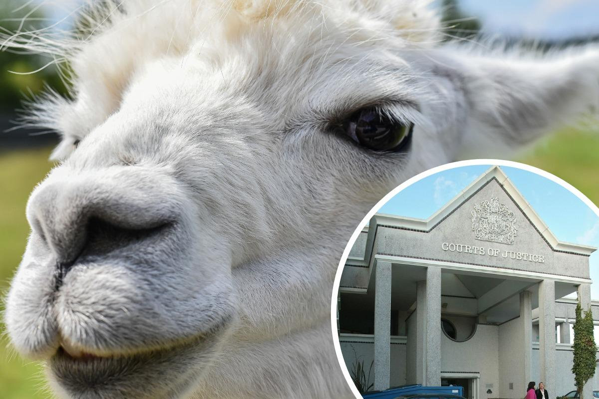 Rural Crime Alert - Verdict on Cornwall couple's £100k VAT tax fraud on ...