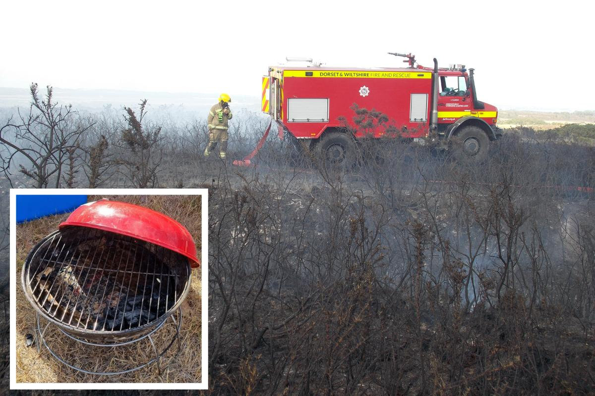 Rural Crime Alert - Wind-swept flame from barbecue caused Stoborough ...