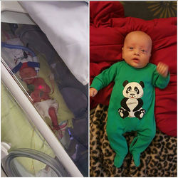 The Wall Of Our PPROM Miracle Babies | pprom-one