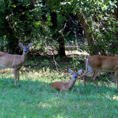 Photo Gallery | City Of Goshen