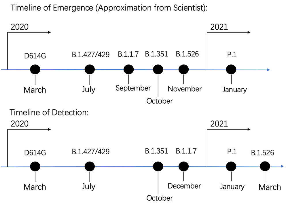 A Summary & Timeline of the SARS-CoV-2 Variants