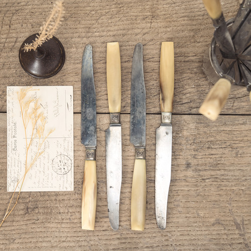Set of 12 French Knives | myfrenchfinds