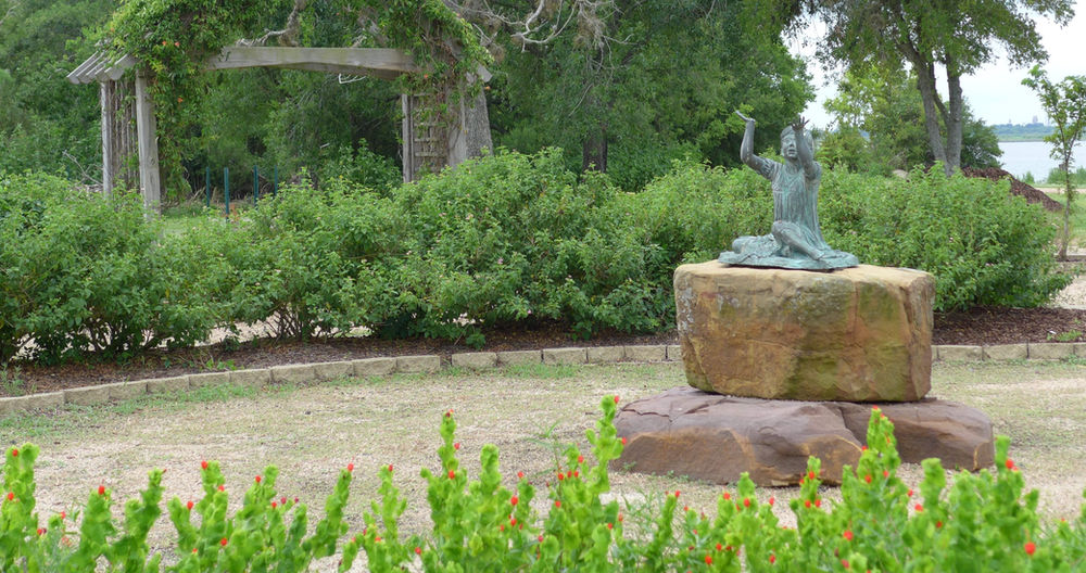 Top 5 Things To Do At The Baytown Nature Center