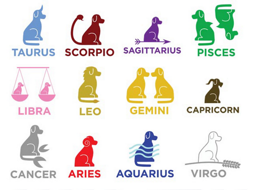 What Your Dog s Zodiac Sign what-your-dog-s-zodiac-sign