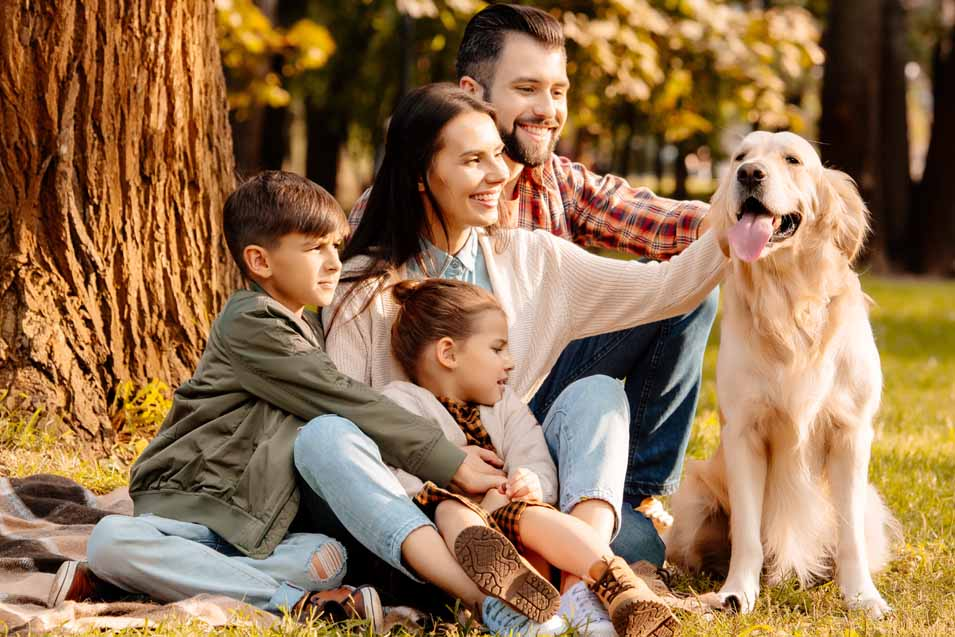 Dog Breeds Suited For The Whole Family dog-breeds-suited-for-the-whole-family
