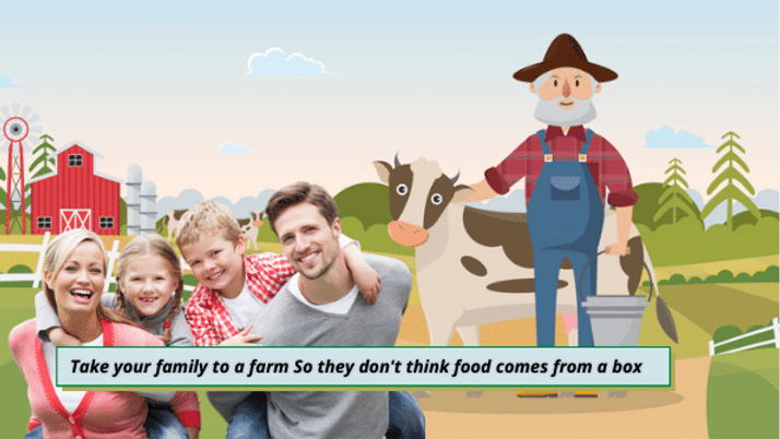 How to Visit a Farm