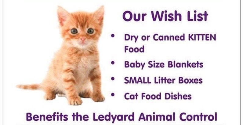 Kitten Wishlist on Cuddly!!