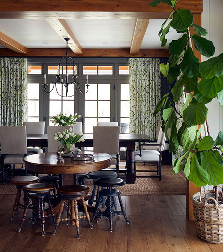 Trish Johnston Design | Projects | Residential