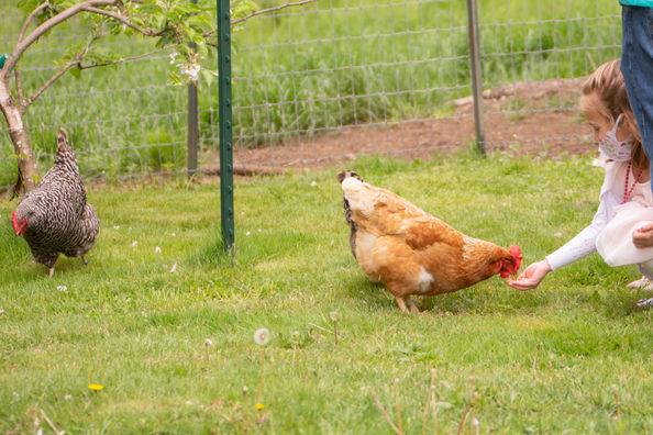 FARM VISITS | Courter Country Farm