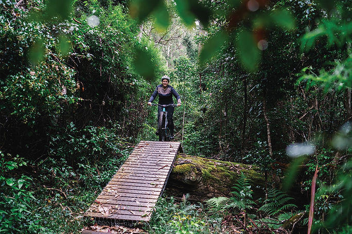 South Coast MTB Trails Maps: Explore Narooma and Beyond NSW