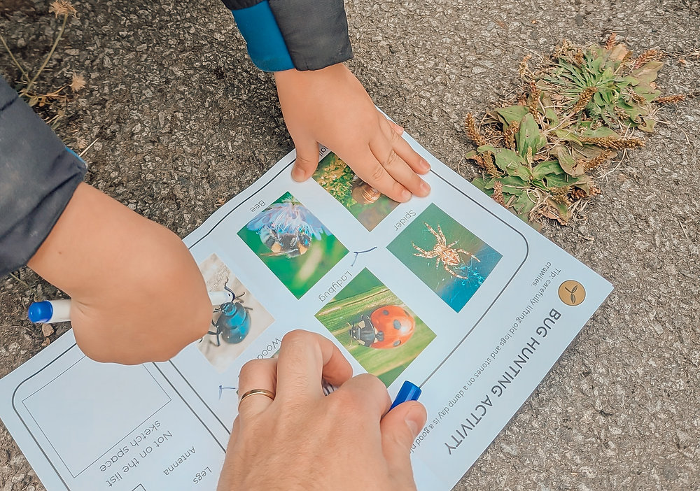 Outdoor Bug Hunt Home Education Activity for Kids + Free Printable ...