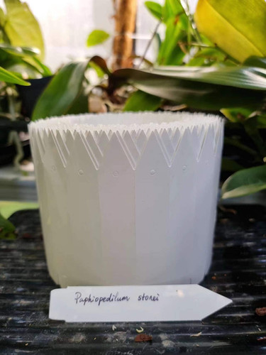 Plant Labels | My Site