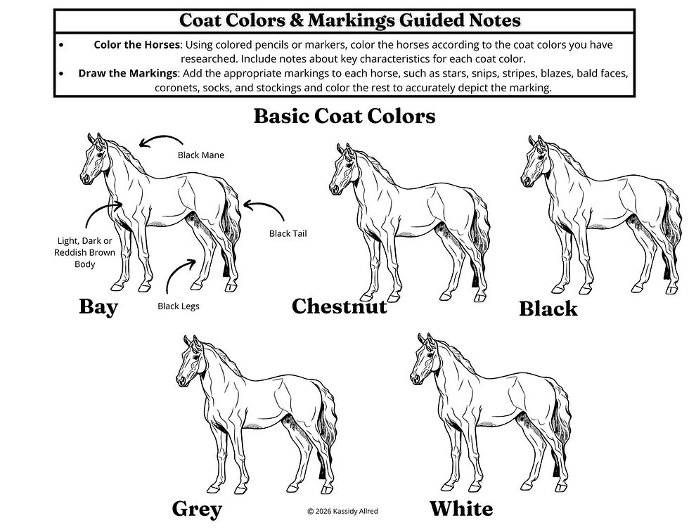 Equine Science - Print Version | Fields of Learning