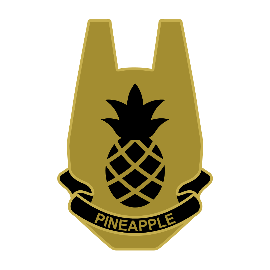 Distraction Pineapple - Armor Customization | Infinite News