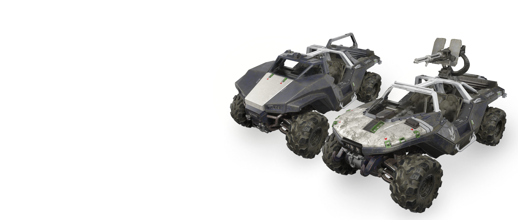 Mystic Shark - Shop Listing | Infinite News