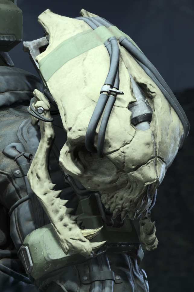 SKULLBEARER TROPHY - Armor Customization | Infinite News