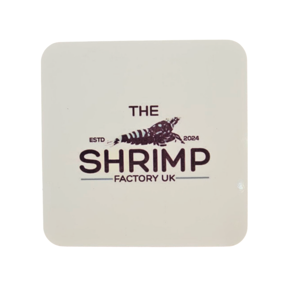 The Shrimp Factory UK Coaster | The Shrimp FactoryUK