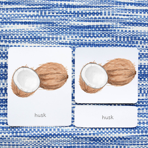 PARTS OF: COCONUT FRUIT | Themontessoricompany