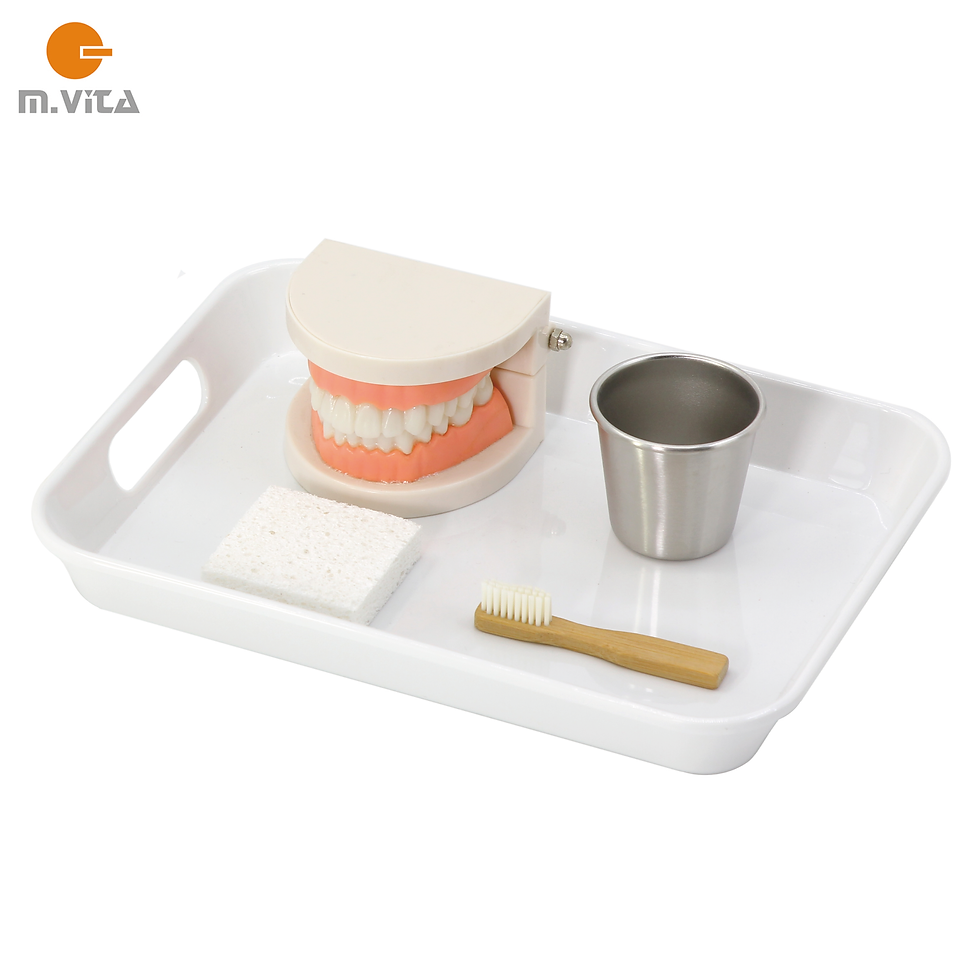 Brushing teeth activity set | M.Vita Montessori