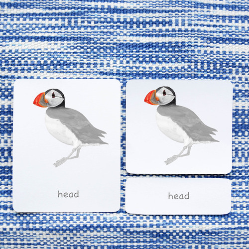 PARTS OF: PUFFIN BIRD | Themontessoricompany