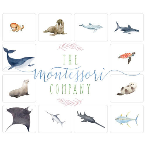 Nomenclature Cards Sea Animals | Themontessoricompany