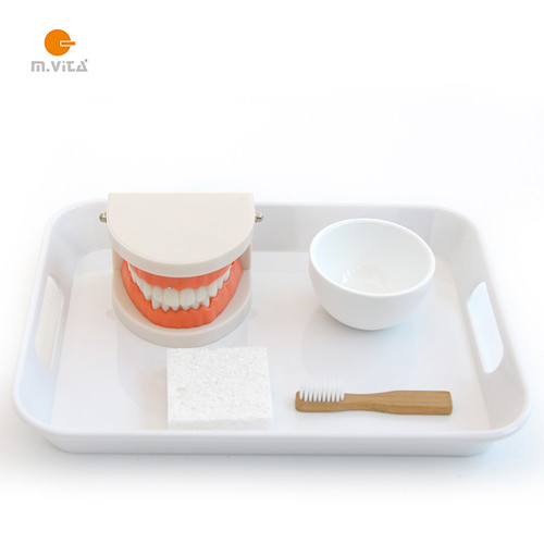 Brushing teeth activity set | M.Vita Montessori