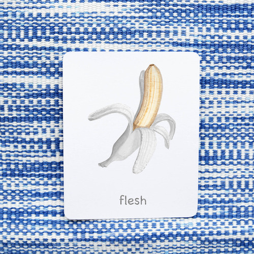 PARTS OF: BANANA | Themontessoricompany