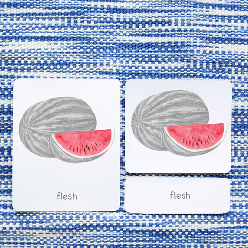 PARTS OF: WATERMELON FRUIT | Themontessoricompany