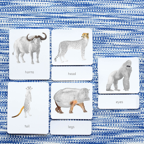 PARTS OF: WILD ANIMALS | Themontessoricompany