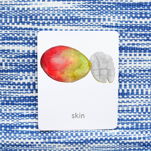 PARTS OF:MANGO | Themontessoricompany