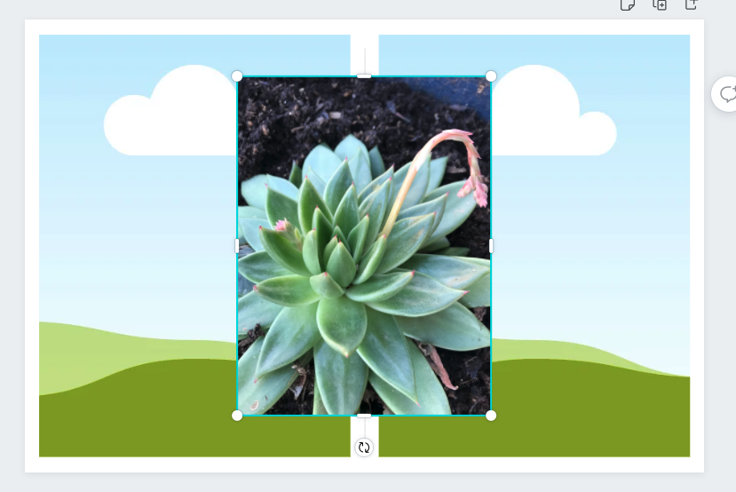 How To Create Custom Photo Sizes in Canva