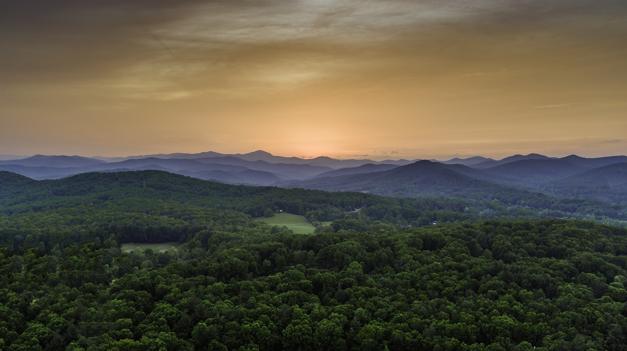 Paul Jackson Photography