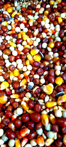 Cornstore Ronnie Williams Mix 25kg | The Corn Store