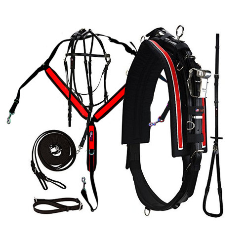 Walsh 1800 Harness With Wide Buxton | Gammell Horse & Tack