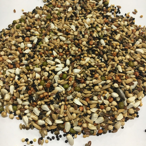 The Corn Store Sneaky Mix 20kg | The Corn Store