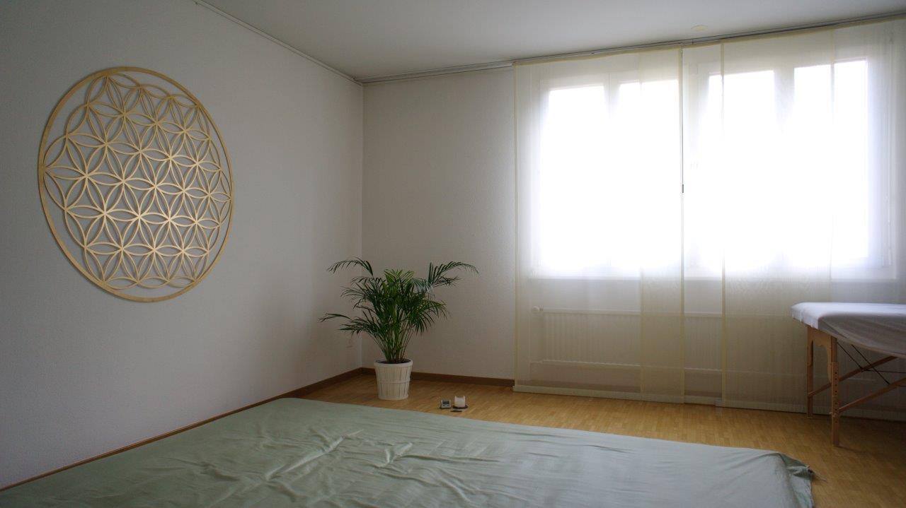 Nicole Studer Naturheilpraxis - Home