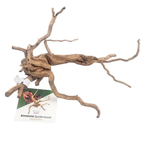 Bois araignée ''spiderwood'' | Fusion Reptiles