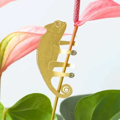 Compagnon pour plante Caméléon | Fusion Reptiles