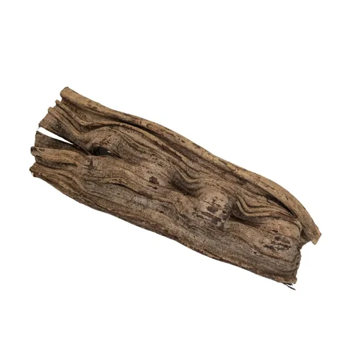La liane Escada (18-20") | Fusion Reptiles